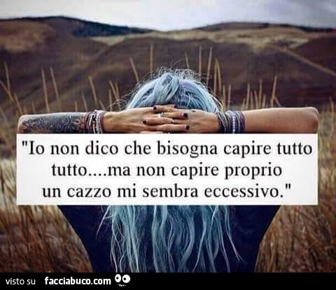 Io non dico che bisogna capire tutto tutto... ma non capire proprio un ...