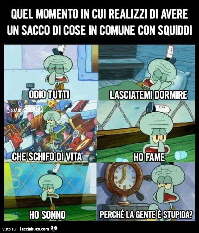 Tutti i meme su Squiddi - Facciabuco.com
