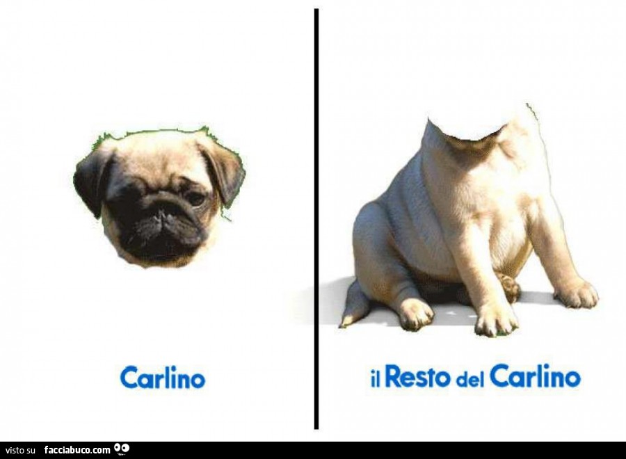Memes Roberto Carlino