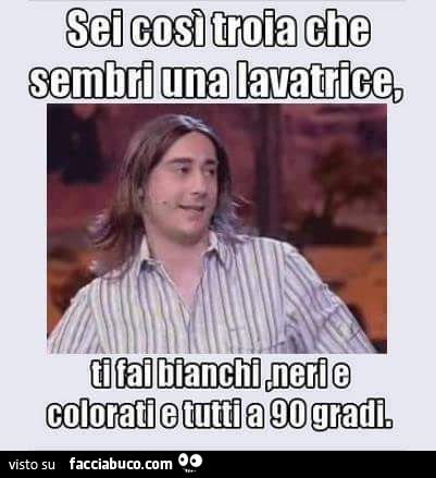 Sei così troia che sembri una lavatrice, ti fai bianchi, neri e ...