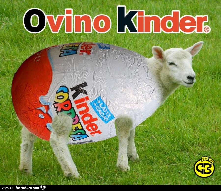 Ovino Kinder - Facciabuco.com