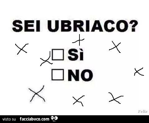 Sei ubriaco? Si. No. - Facciabuco.com