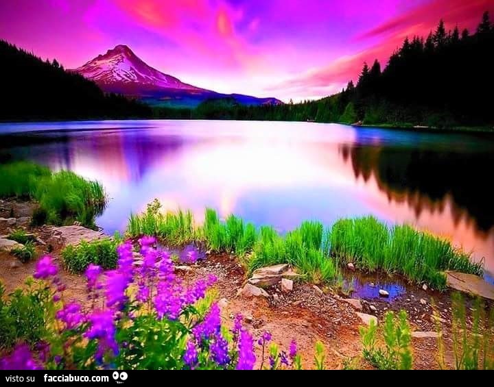 Natura colorata - Facciabuco.com