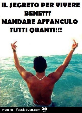 Il segreto per vivere bene? Mandare affanculo tutti quanti - Facciabuco.com