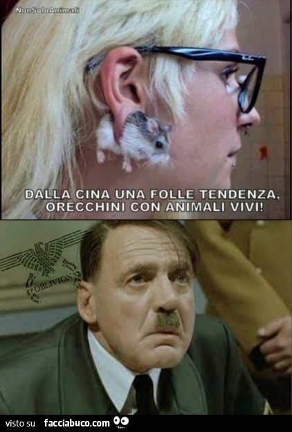 Dalla Cina una folle tendenza. Orecchini con animali vivi! Hitler ...