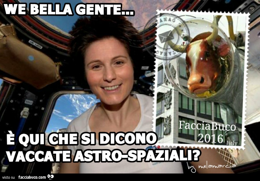 We bella gente, è qui che si dicono vaccate astro spaziali ...