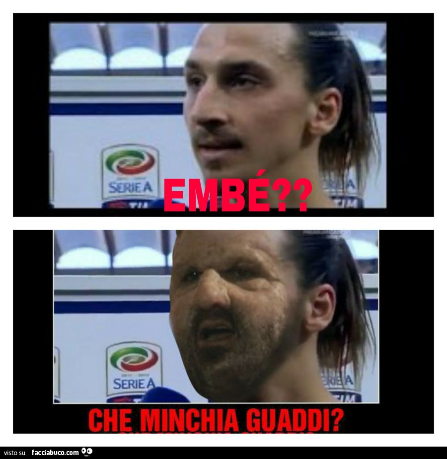 Zlatan: Embè? Che minchia guaddi? - Facciabuco.com